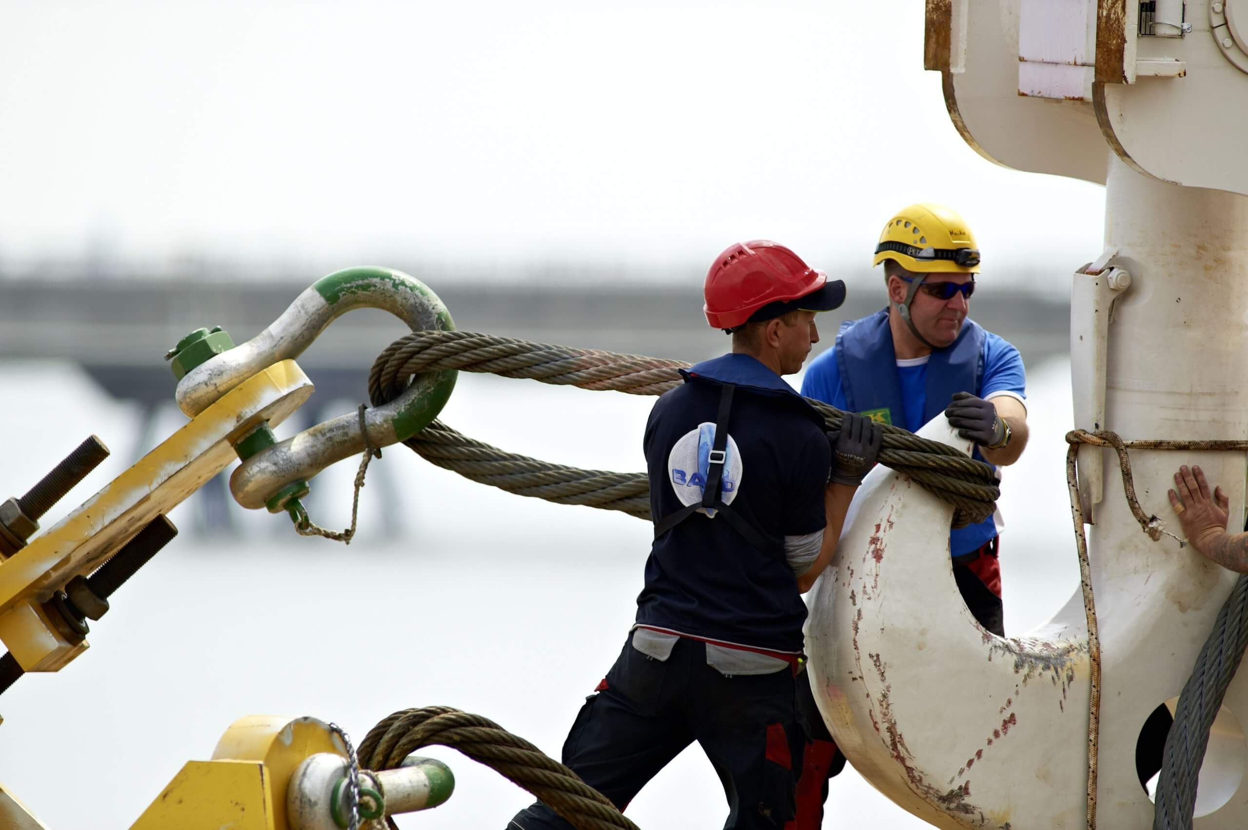 The Missing Link van David Mann - Lean Network